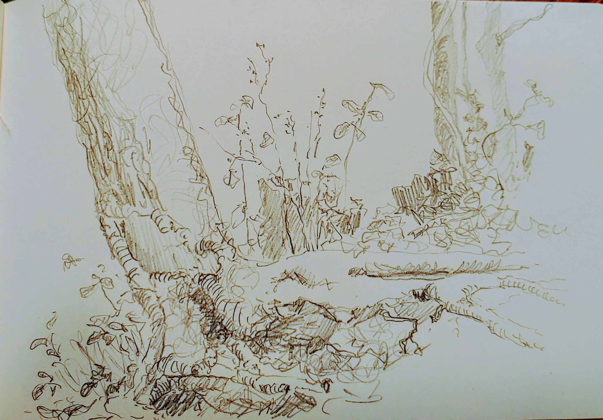 A Bruised Old Tree – Barnabas