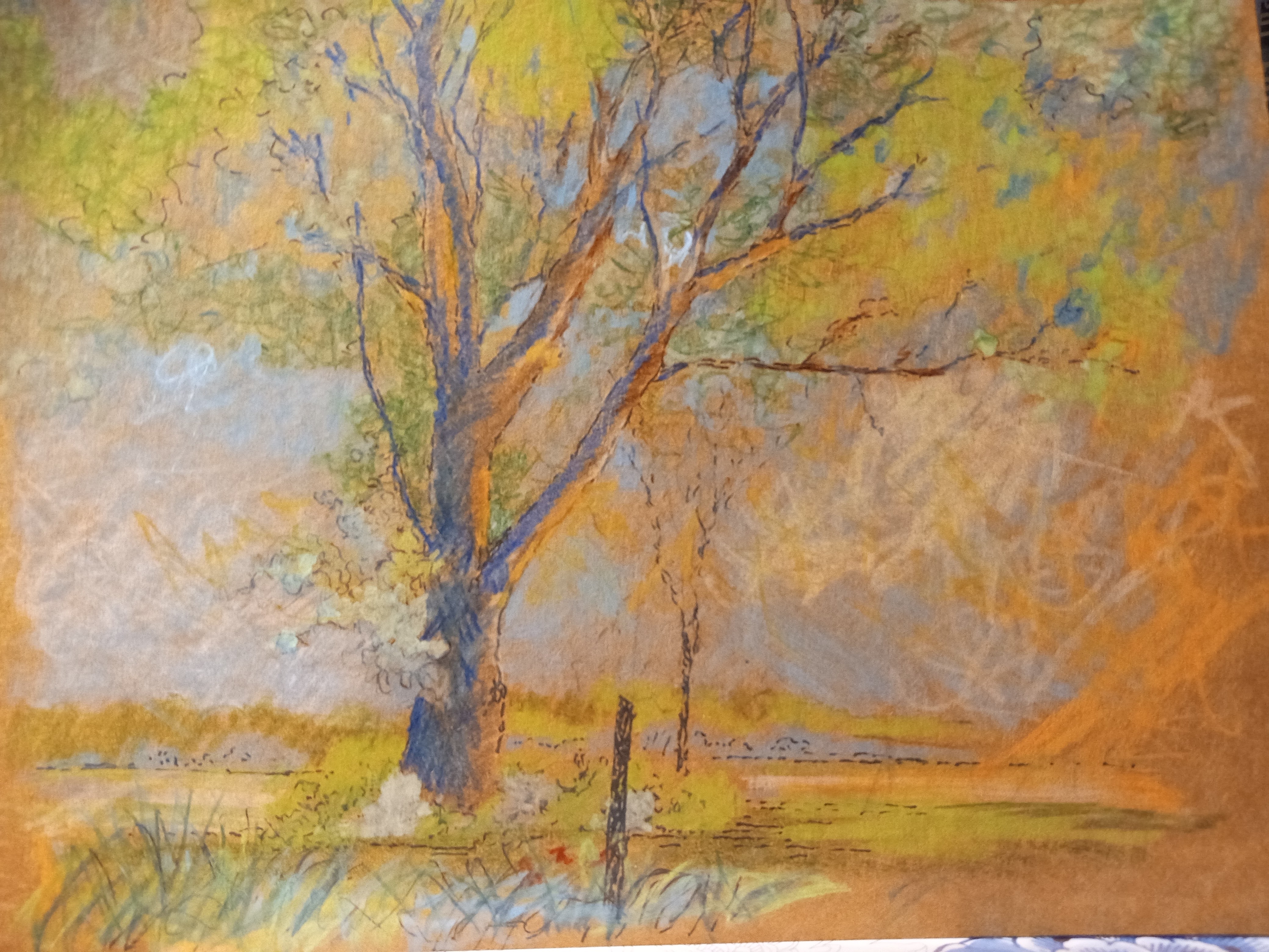 An Evening Tree – Barnabas