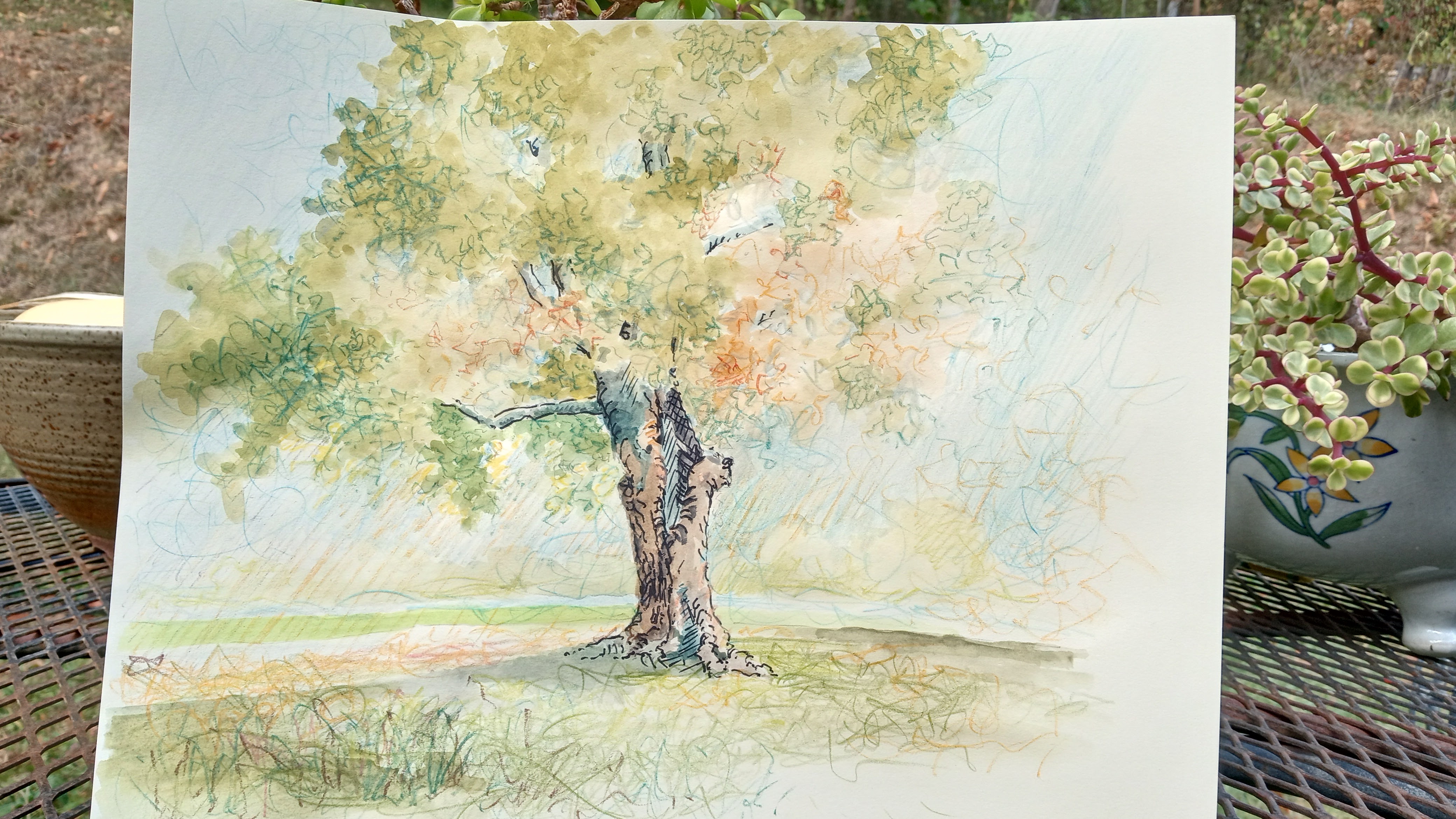 A Tree Next to the Church – Barnabas